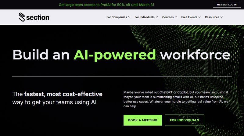 Section 提供AI驱动的企业解决方案，帮助团队快速掌握AI技能，提升工作效率。-SOAI.IM