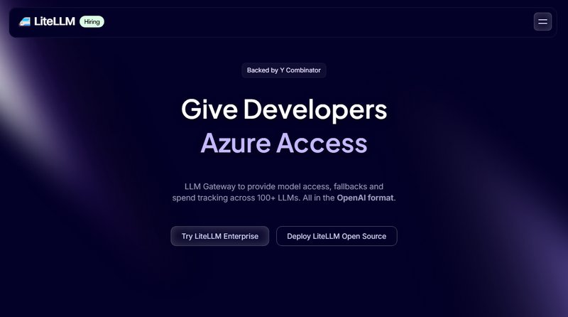 LiteLLM 是一个简化模型访问、花费跟踪和回退的工具，支持100+ LLM模型。-SOAI.IM