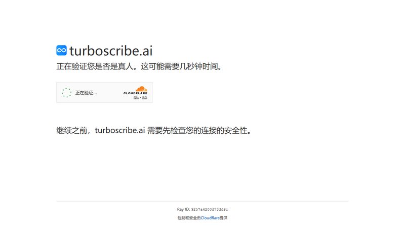 turboscribe.ai 提供基于人工智能的文本处理服务-SOAI.IM